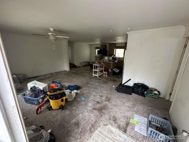 241 E Park Loop