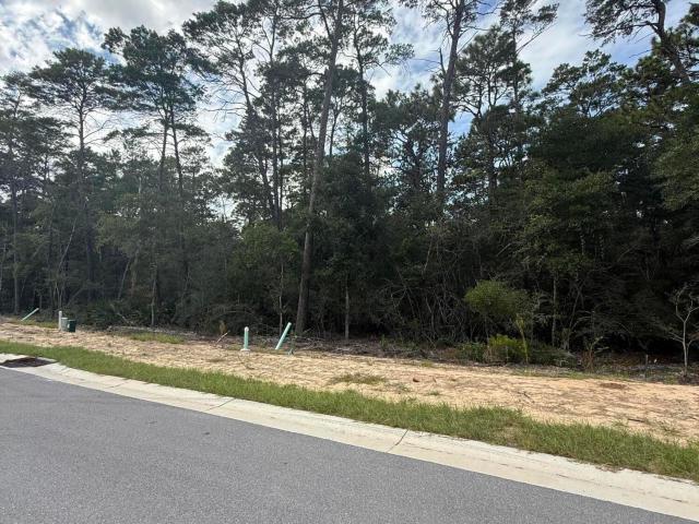 241 Foxglove Run, Niceville, FL 32578 | MLS #986861 | Compass