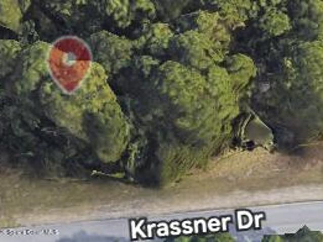 241 Krassner Dr, Palm Bay, FL 32907 | MLS #1070