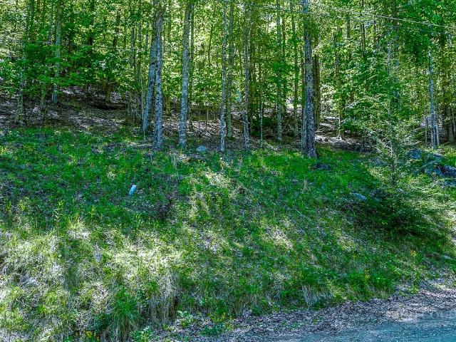 241 Lakeledge Road