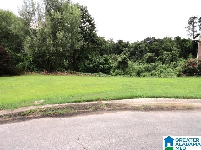 241 Lakewood Cir Lot 10, Adamsville, AL 35005