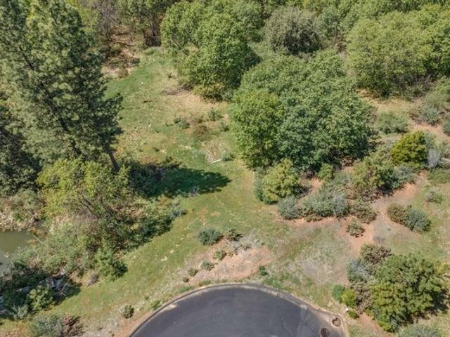 241 Red Apple Dr, Murphys, CA 95247