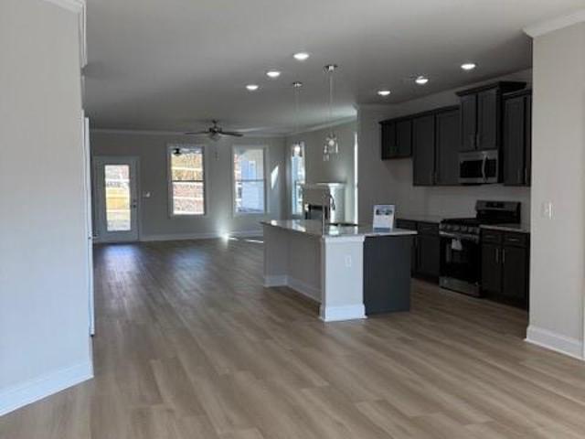 2424 Anhinga Drive