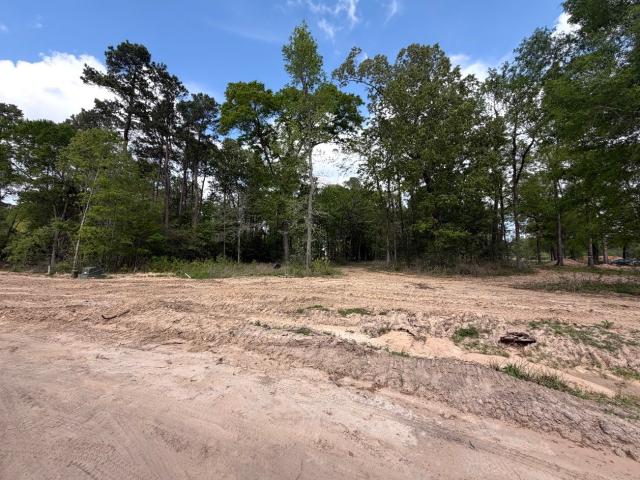 2425 Lonely Creek Circle