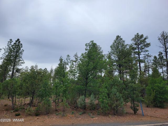 2425 Timber Pine Lane