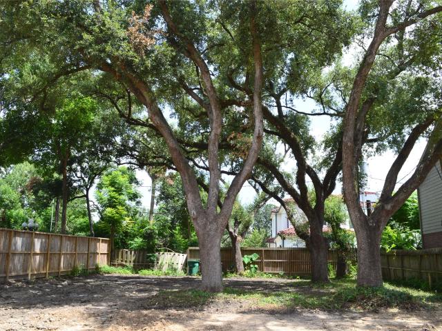 2426 Glen Haven Blvd, Houston, TX 77030 | MLS #77904
