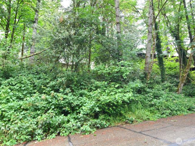2428 Archwood Drive