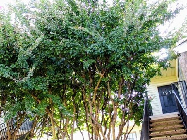 2428 Forest Brook Ln Apt 1212, Arlington, TX 76006
