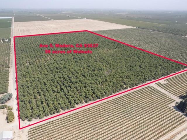 24290 Avenue 5, Madera, CA 93637