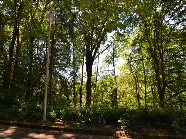 2429 Archwood Dr, Longview, WA 98632 | MLS #419504