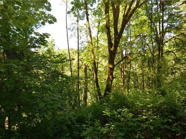 2429 Archwood Dr, Longview, WA 98632