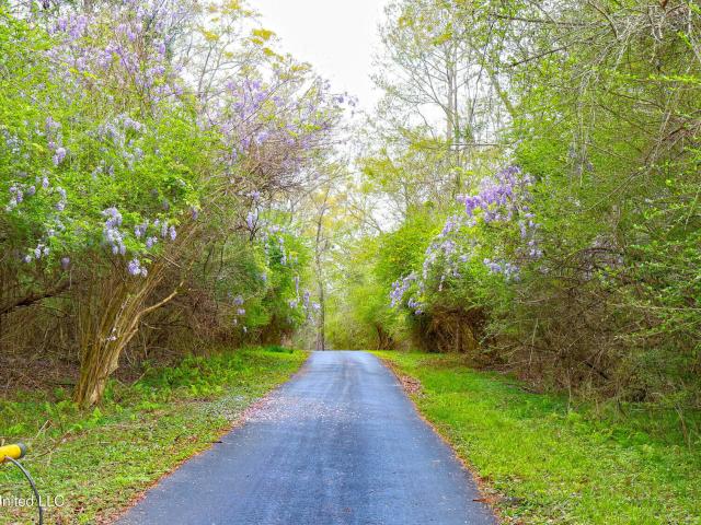 24203 Bilbo Road, Vancleave, US, MS