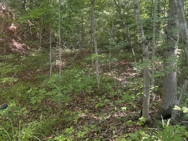 2420 Balltown Rd, Bryson City, NC 28713