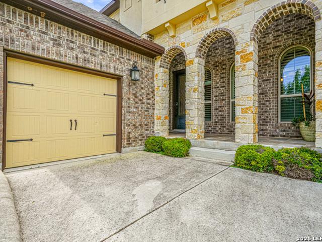 24219 Gazania Bluff