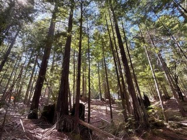 2421 Otter Ln, Willits, CA 95490