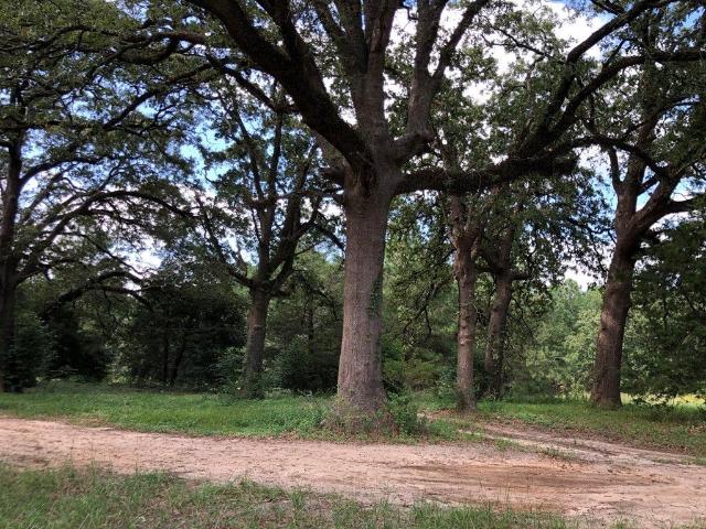 2421 Appleby Sand Rd, Nacogdoches, TX