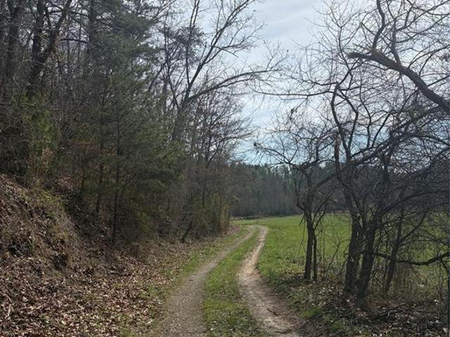 242 area Radford Rd, Unit 3, Mars Hill, NC 28754 | MLS #4365