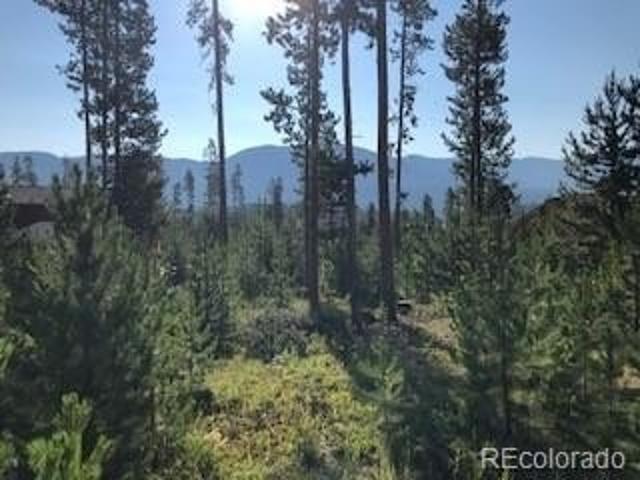 242 GCR 4571 Lot 56, Grand Lake, CO 80447