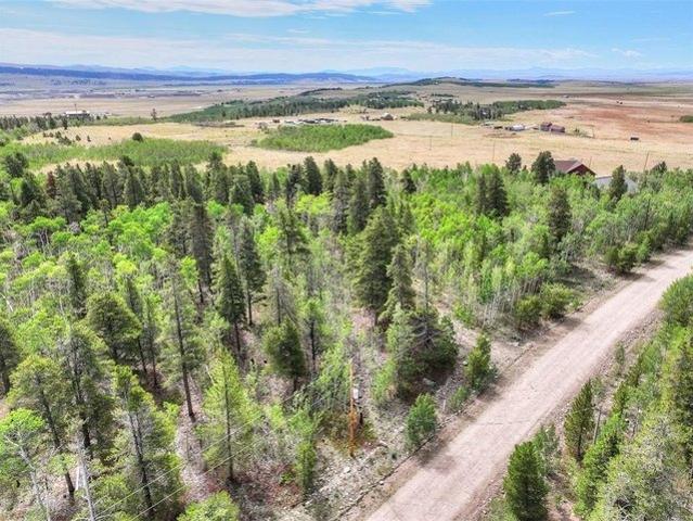242 Green Bottle Cir Lot 1157, Fairplay, CO 80440