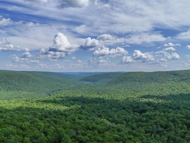 242 Denton Falls Rd, Forestburgh, NY 12777