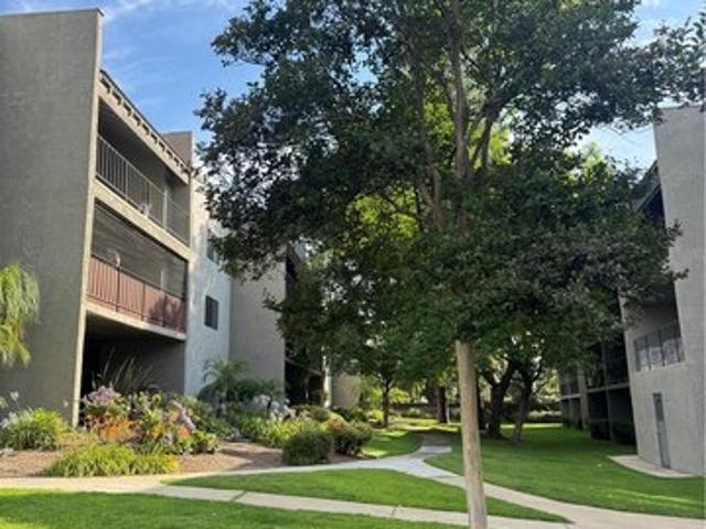 242 E Fern Ave, Redlands, CA 92373