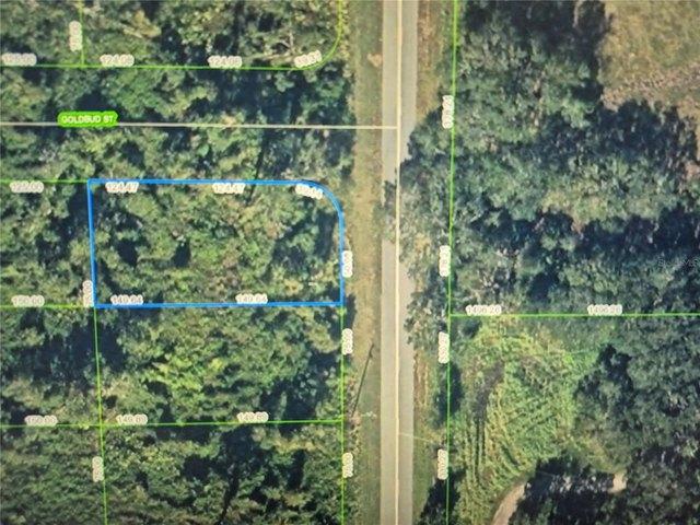 242 Highlands Lake Dr, Lake Placid, FL 33852
