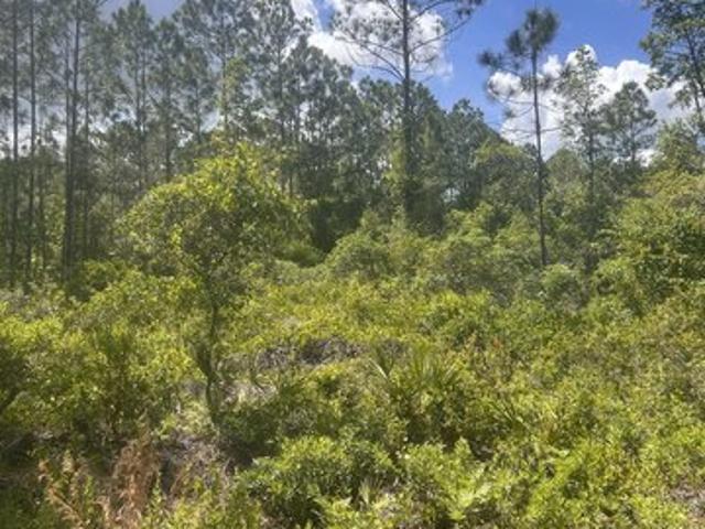 242 Lakeway Dr, Georgetown, FL 32139