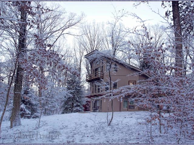 242 Songbird Lane