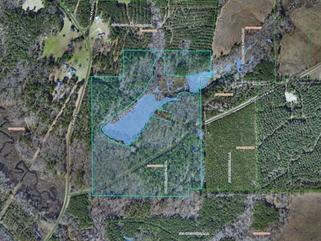 242 Slaughter Rd, Homer, LA 71040
