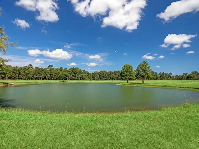 2435 Emerie Arbor Ln, Hockley, TX 77447