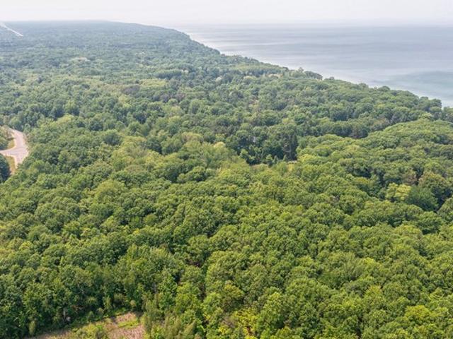 2436 Lakeshore Dr, Fennville, MI 49408