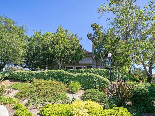 24392 Kingston Court