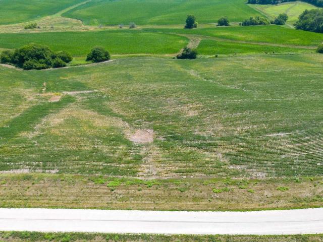 2439 Olof Krans Ave, Galva, IL 61434 | MLS #4262