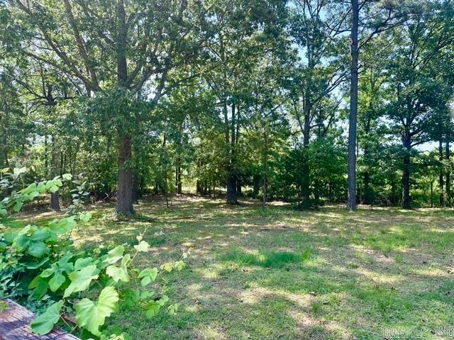 24315 HWY 365 N