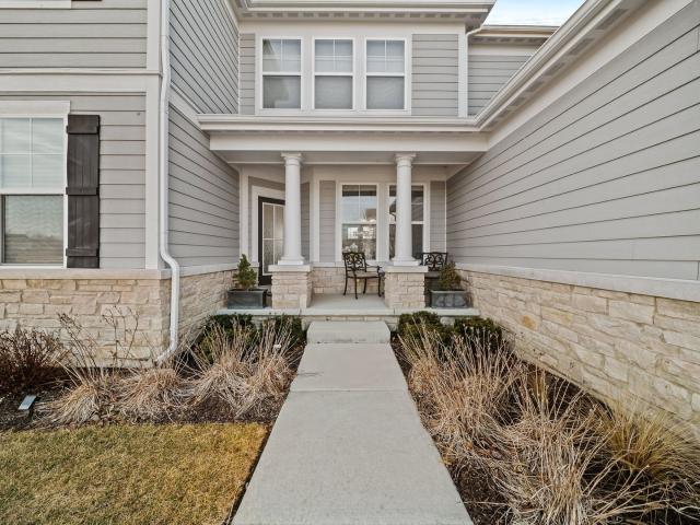 24338 N Blue Aster Lane