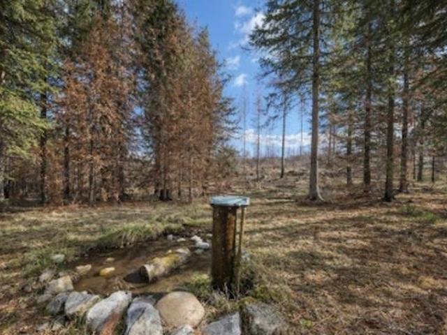 2433B Widow Rd, Colville, WA 99114