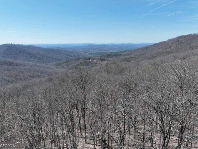 243 Dragon Trl, Ellijay, GA 30536