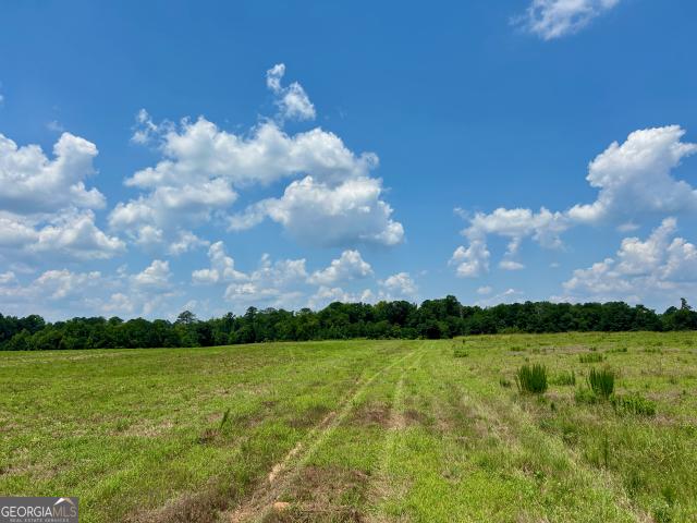 243 Hamil Road 13.18 ac