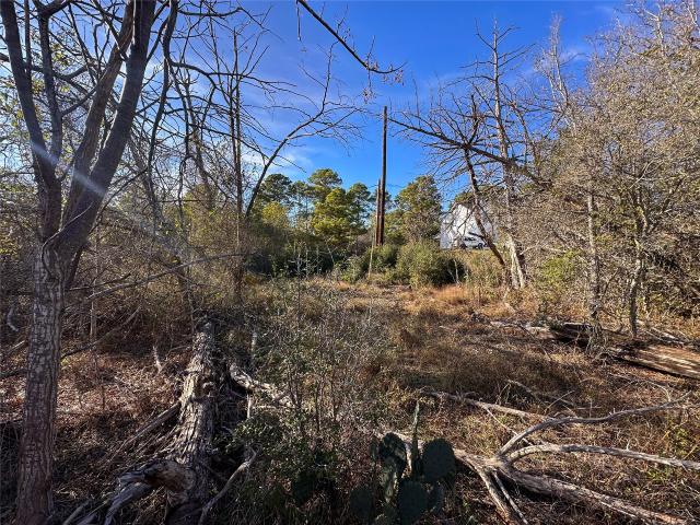 243 Hanauma Dr, Bastrop, TX 78602 | MLS #2520
