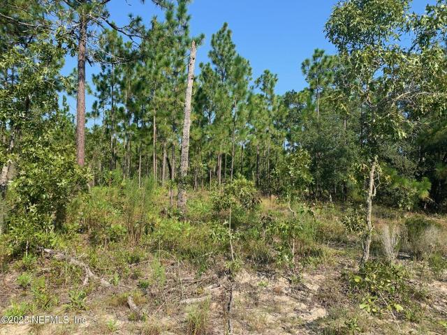 243 Indiana Ave, Hawthorne, FL 32640 | MLS #2105 | Compass