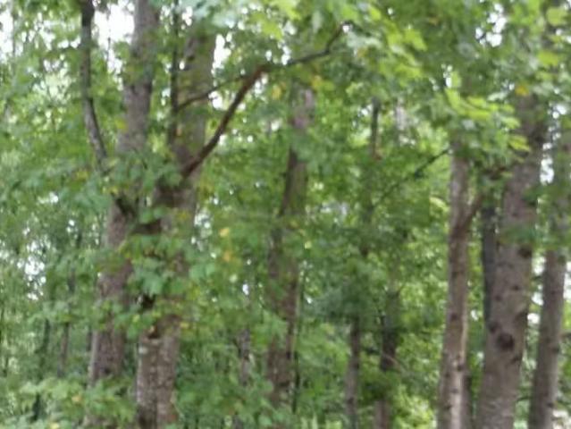 243 Lakeview Terrace, Dallas, GA 30132 MLS 7441460