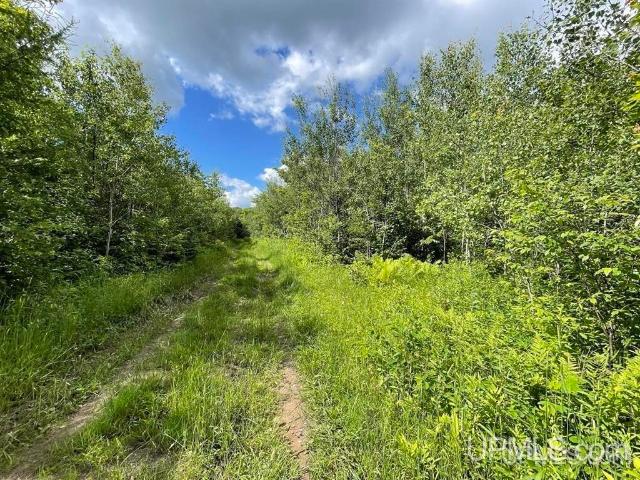 243 Net River Road