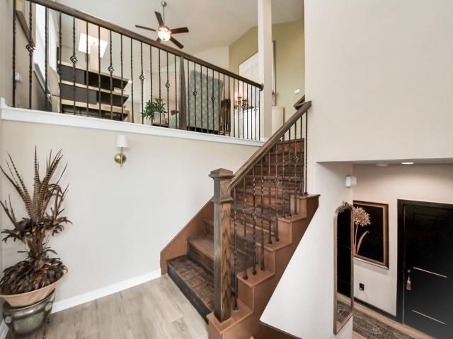 243 S Spotted Fern Drive