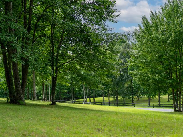 243 Roaring Creek Road