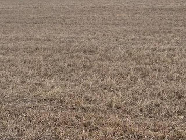 243rd St, McLouth, KS 66054