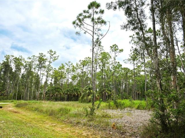 24443 Rocky Rd, Bonita Springs, FL 34135 | MLS #224072