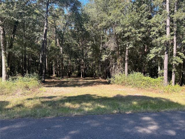 24445 Pipestem Dr, Magnolia, TX 77355 | MLS #69607