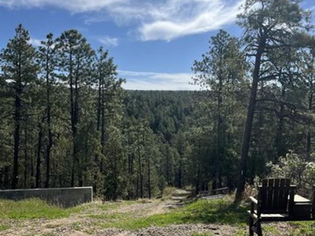 2444 Crooked Rd, Pagosa Springs, CO 81147
