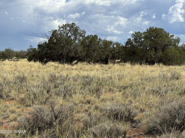 2445 Athapascan Dr, Heber, AZ 85928