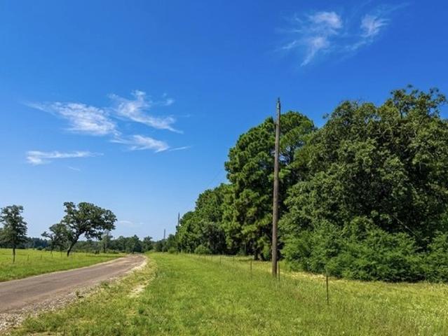 2447 County Road 261, Buffalo, TX 75831